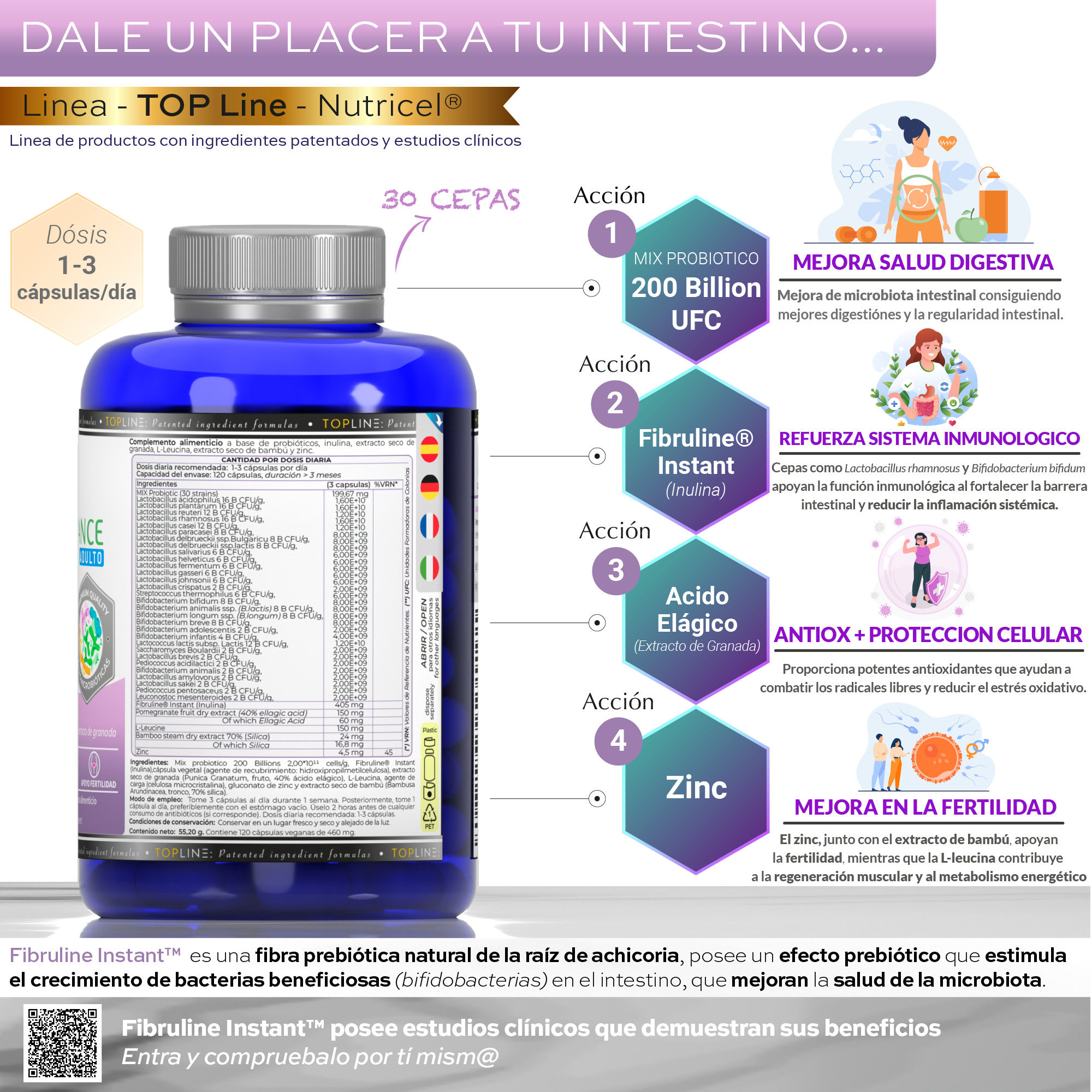 Probione Balance Adultos - Probio + Prebio + Zinc - Nutricel
