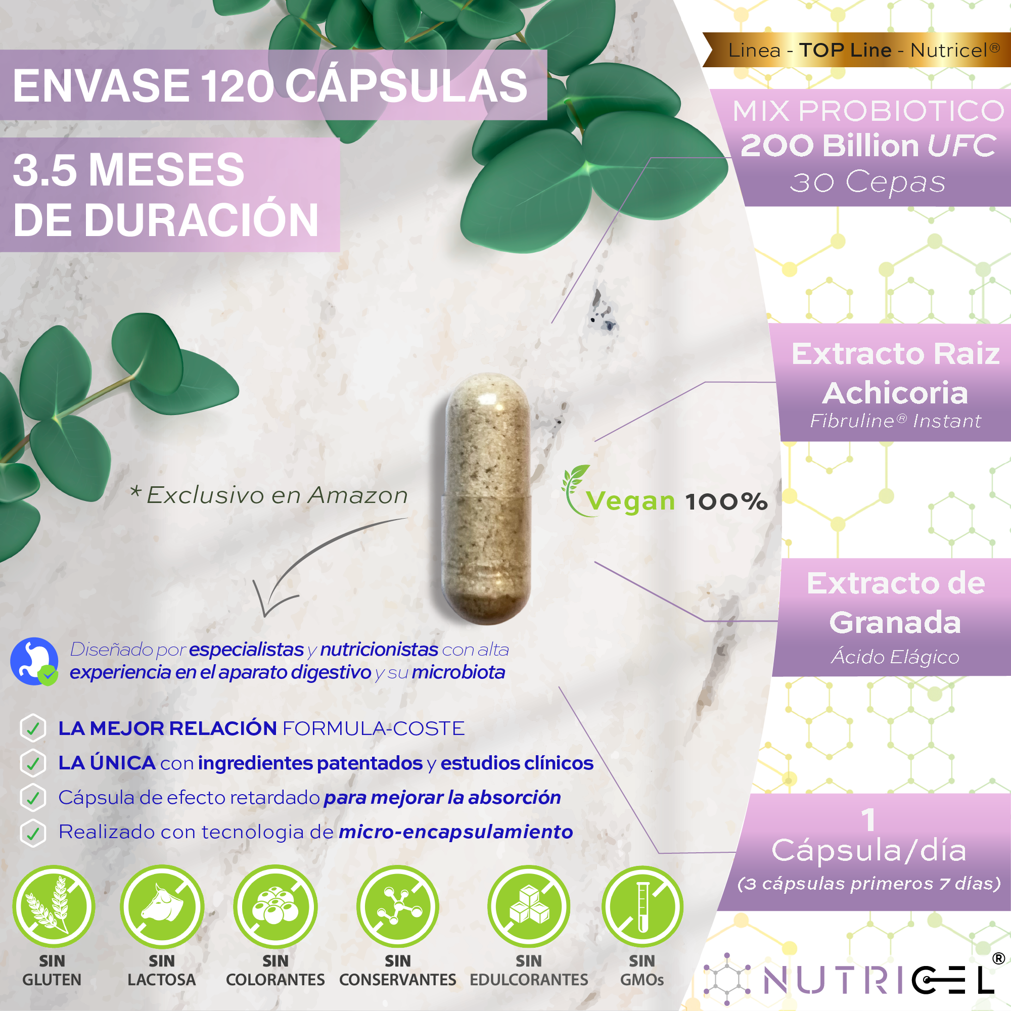 Probione Balance Adultos - Probio + Prebio + Zinc - Nutricel